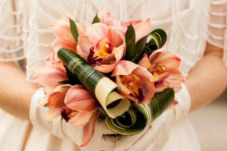 New and Vintage Clothing - Pretty Parlor