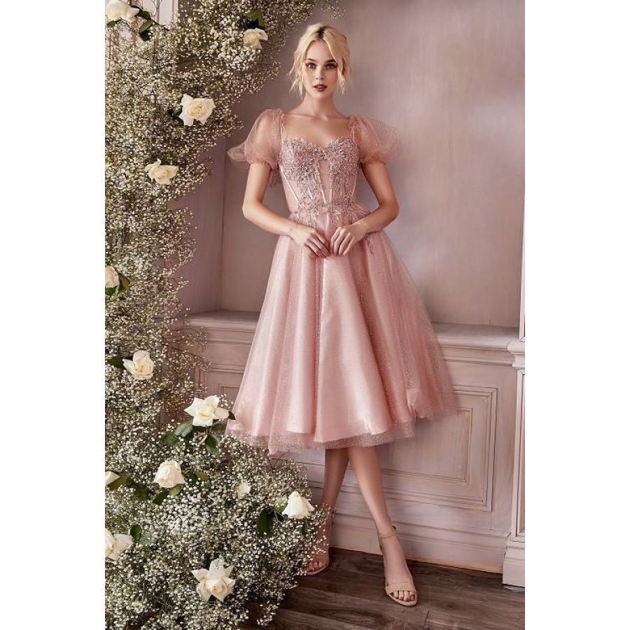 Fancy Collection - Pretty Parlor