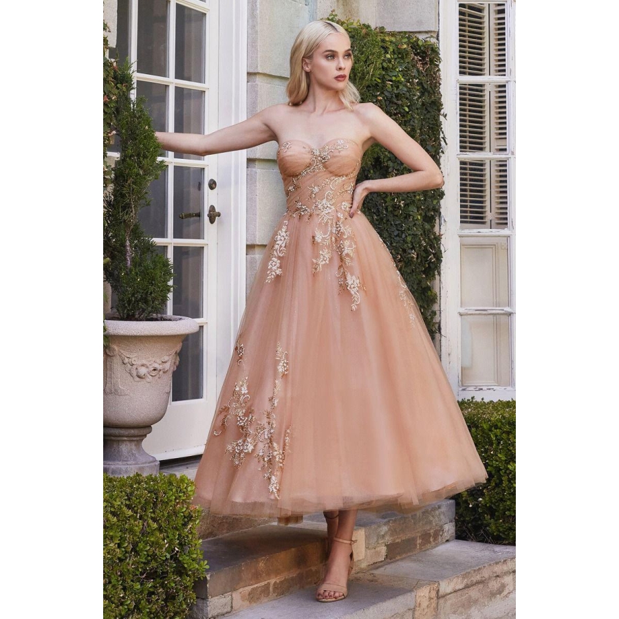 Fancy Collection - Pretty Parlor