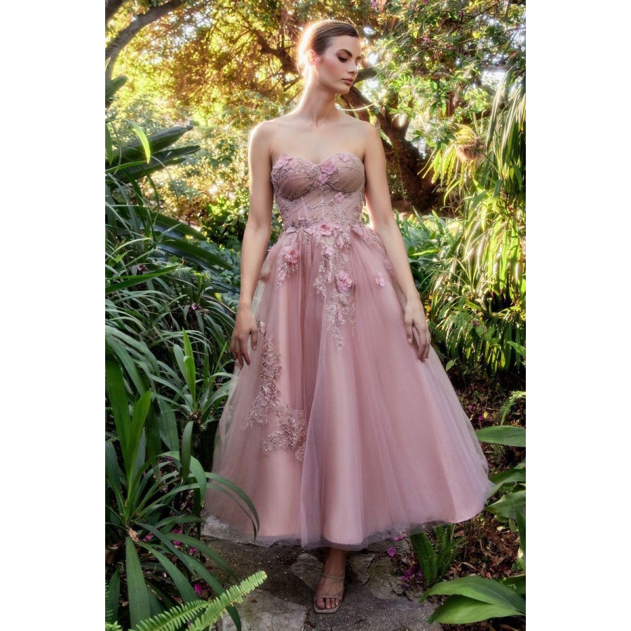 Fancy Collection - Pretty Parlor